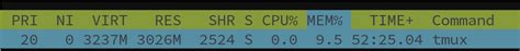 High Tmux Memory Usage · Issue 2408 · Tmuxtmux · Github
