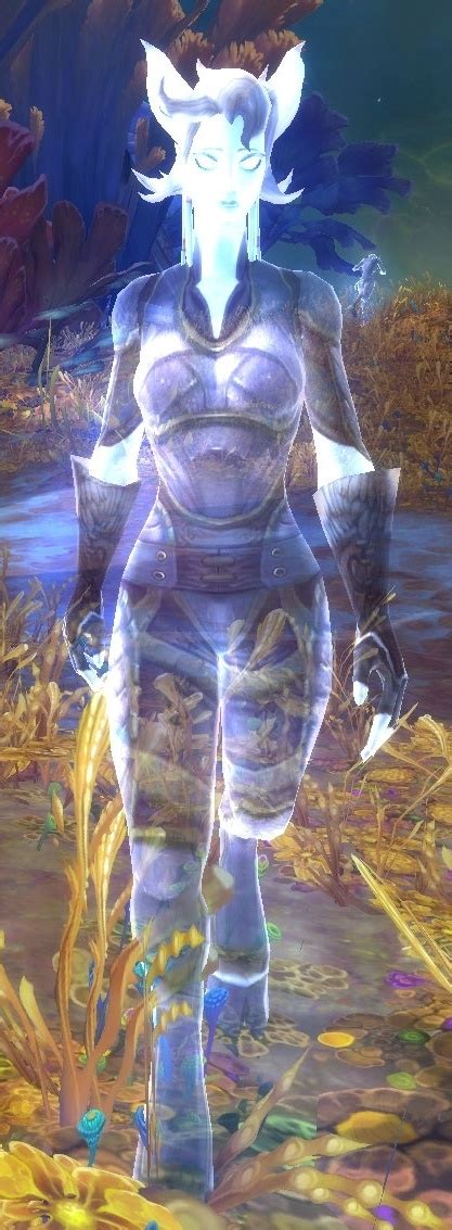 Horrified Echo Npc World Of Warcraft