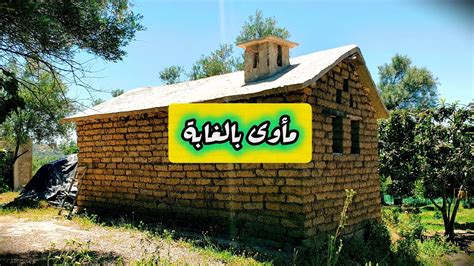 البيت الصغير في الغابة قصة بناء منزل اقتصادي في أسبوع Youtube