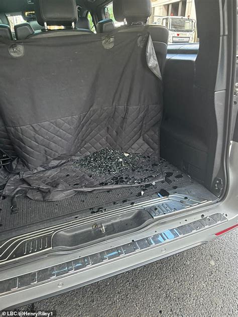 Live Horses Covered In Blood Rampage Central London As Four Are Taken