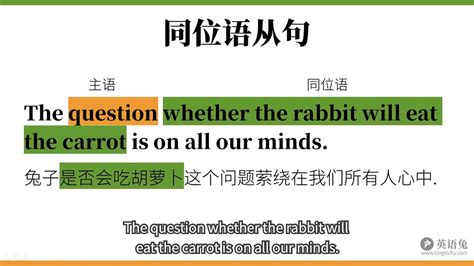 英语兔语法笔记 同位语从句 哔哩哔哩