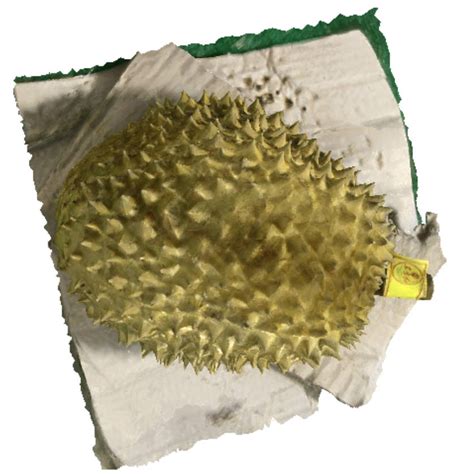 Nerf2mesh