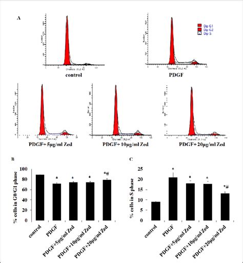 Zedoarondiol Arrests Vsmcs Cell Cycle In G0g1 Phase Vsmcs Were