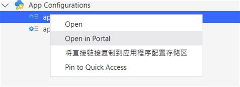 The Action Items Open And Open In Portal And Pin To Quick Access Are Not