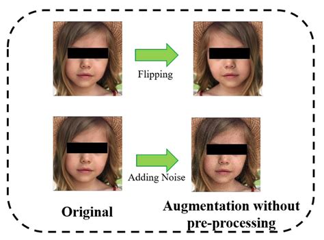 Facial Image Only Augmentation Pipeline Algorithm 3 Is An