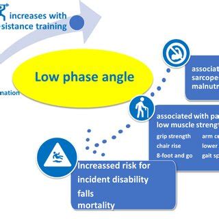 Changes In Phase Angle And Its Association With Outcome In Older Adults Download Scientific