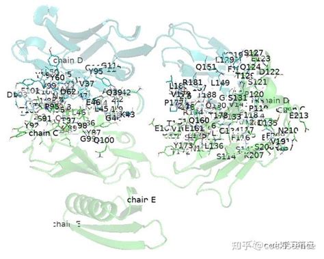 pymol自动显示蛋白 蛋白相互作用 知乎