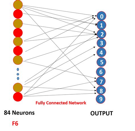 Introduction To Convolutional Neural Networks Architecture Images
