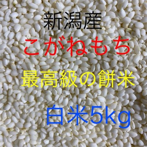 新潟産こがねもち 令和4年産 白米5kgの通販 By シュウs Shop｜ラクマ