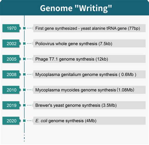 Dna Synthesis And Assembly Synbio Technologies