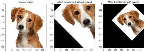 Grid Sample Generalization Issue Pytorch Pytorch Github