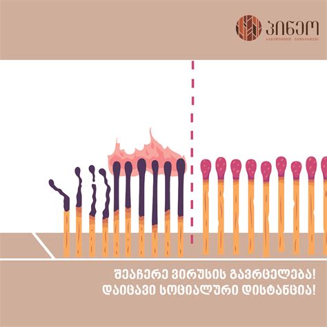 გა პინეო სამედიცინო ეკოსისტემა • Pineo Medical Ecosystem