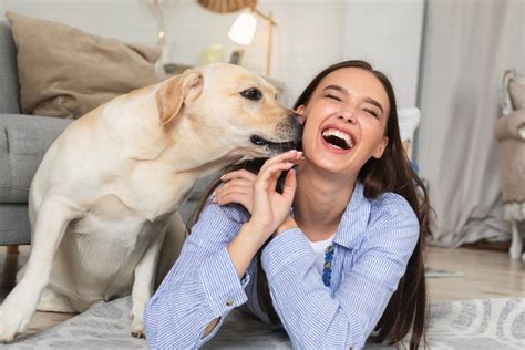 『飼い主を愛している犬』が見せる4つのサイン♡愛情深い犬がしがちな仕草や行動とは？ わんちゃんホンポ
