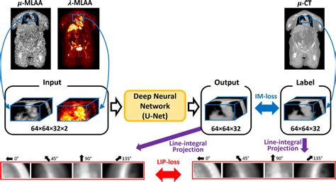 proposed framework training phase both µ and λ mlaa are used as