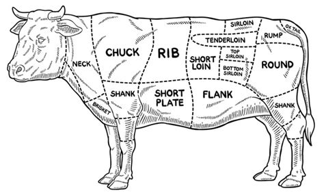 Beef Cuts Diagram Royalty Free Images Stock Photos Pictures Shutterstock