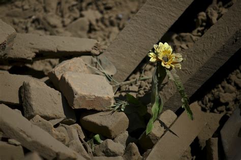 20 Images That Show How Hard Nepals Earthquake Survivors Are Fighting