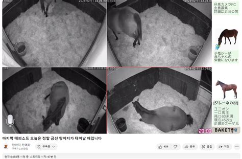 오늘은 진짜 나올거같다 치지직 에펨코리아