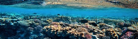 广州海洋实验室