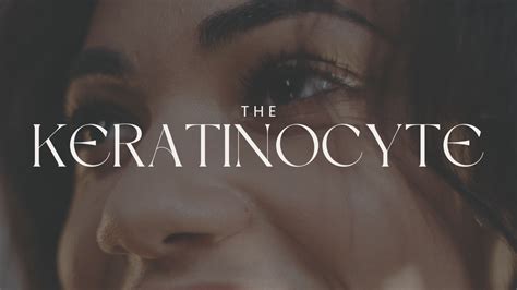 The Keratinocyte