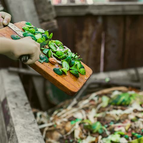 De Ladder Van Moerman Hoe Vers Voor Vandaag De Top Bereikt Vers Voor Vandaag