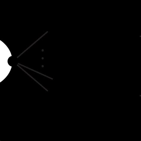 unitarity cut constructions build loop amplitudes from tree amplitudes