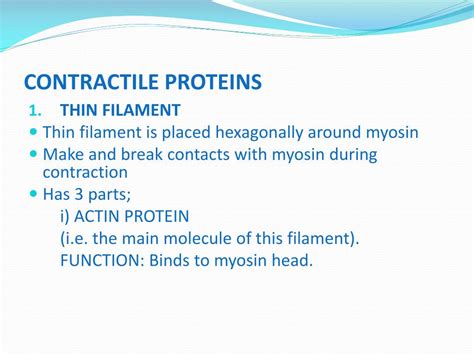 Ppt Muscle Tissue Powerpoint Presentation Free Download Id2181798