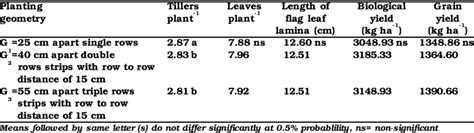 Effect of planting geometry on growth and yield of wheat | Download Table