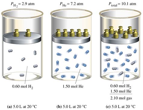 Jennifer Kersey E Portfolio Bio211 Objective 53 Daltons Law And