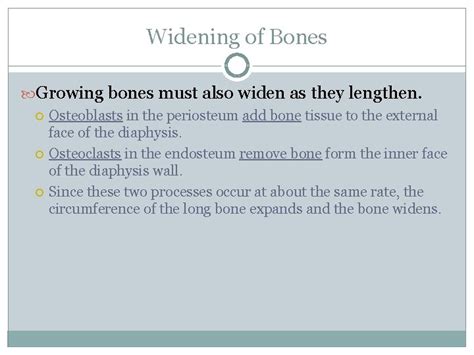 Skeletal System Notespart 2 Bone Formation Ossification The