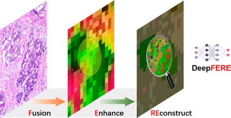 multimodal image fusion offers better spatial resolution for mass