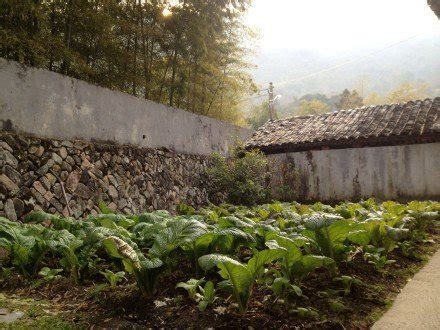 永嘉县岩头普安寺 永嘉县普安 永嘉县普安释明心 大山谷图库
