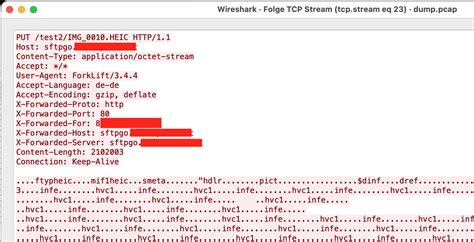Reverse Proxy For Webdav Fails Sometimes With Issue