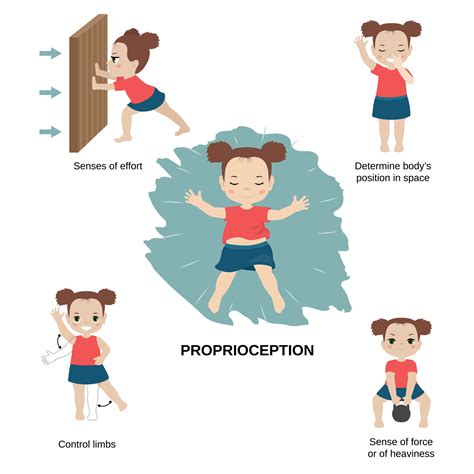 How Does Proprioception Work Ethical Inc