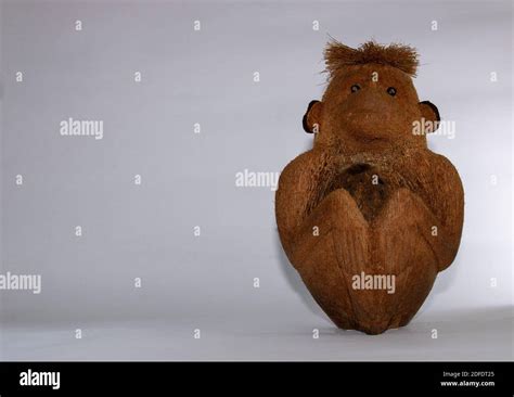 Carved Monkey Doll Made Out Of Coconut Stock Photo Alamy