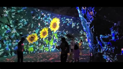 정선화암동굴 Youtube