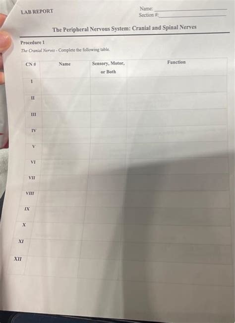 Solved Procedure Chegg Com