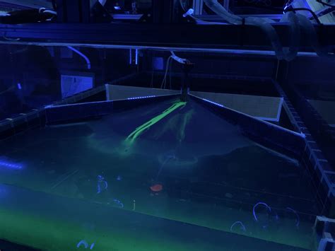 Set Up Of 3d Hyperpycnal Deltas Morphohydraulics Imaging Laboratory