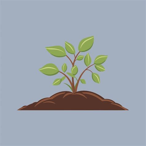 Premium Vector Plant Growing In The Ground Vector