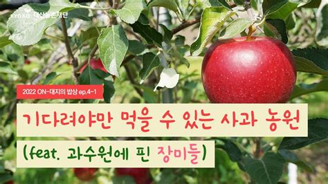 🍎기다려야만 먹을 수 있는 사과 농원 Ft과수원에 핀 장미들🌹 봉화 2022 On 대지의 밥상🌿 Ep4 1