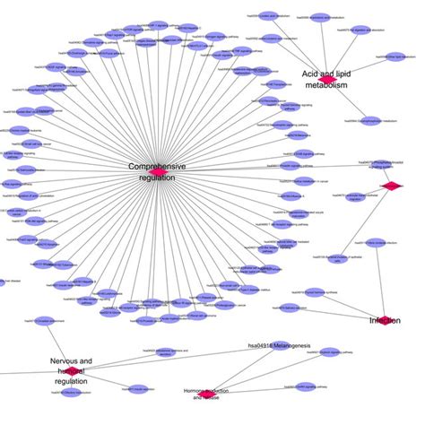 Functional Annotation Clustering Of Kegg Pathway Enriched By