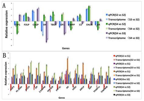 Fluorescence Quantitative Pcr Results Of Differentially Expressed Genes