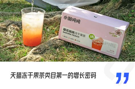 炼丹炉品牌解密｜1年时间做到类目第一，水獭吨吨凭什么？ 知乎