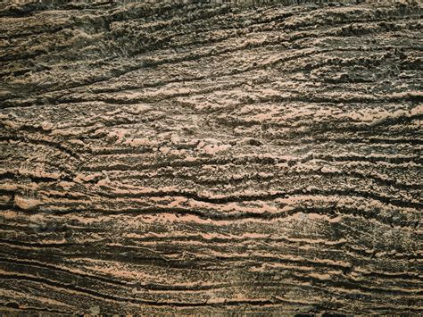 Natural Tree Bark Texture Background 28833026 Stock Photo At Vecteezy