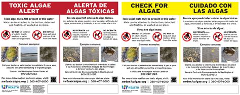 The Necessary Differences In Responding To Planktonic Vs Benthic Toxic Cyanobacteria Walpa