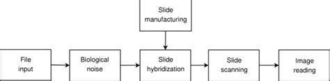 microarray simulation model block diagram of the microarray simulation