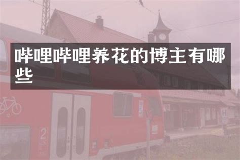 哔哩哔哩如何进行入站考试 哔哩哔哩百科知识 知视百科