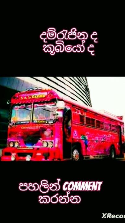 දම්රැජින Vs කූබියෝ Youtube