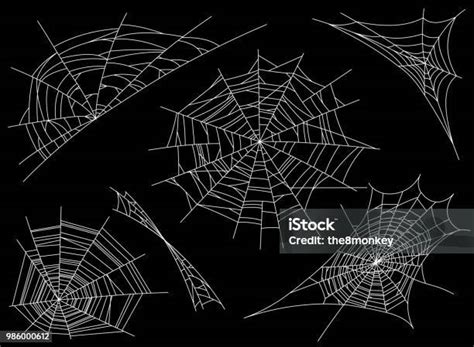 거미줄 검정 투명 한 배경에 고립의 컬렉션입니다 디자인에 대 한 거미줄입니다 스파이더 웹 요소 유령 무서운 공포 장식 손으로 그린된 실루엣 벡터 일러스트 레이 션 개념에