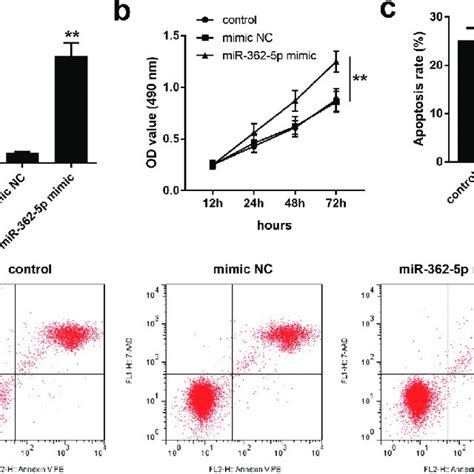 MiR 362 5p Overexpression Enhanced The Proliferation And Inhibited