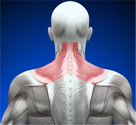 마디사랑병원 Community Blog